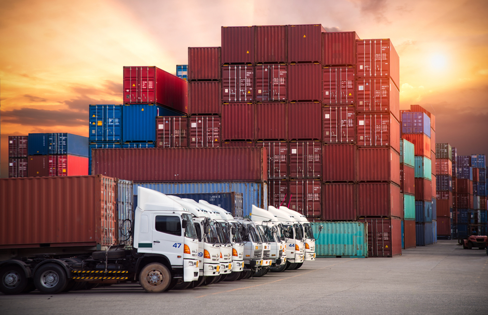 Containerchain launches eGate to boost efficiency | Containerchain